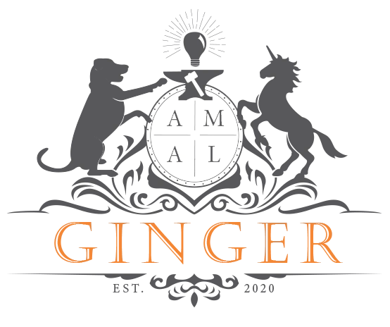 Ginger Support Services