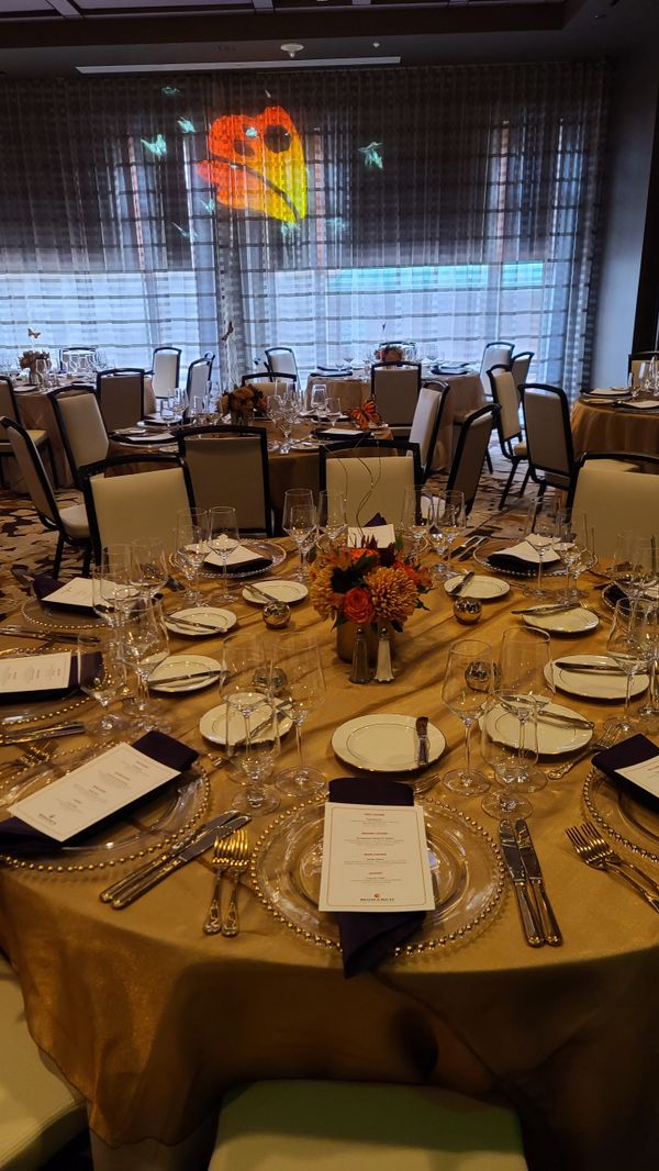 Occasionally Fabulous Events - Event Planning, Event Design