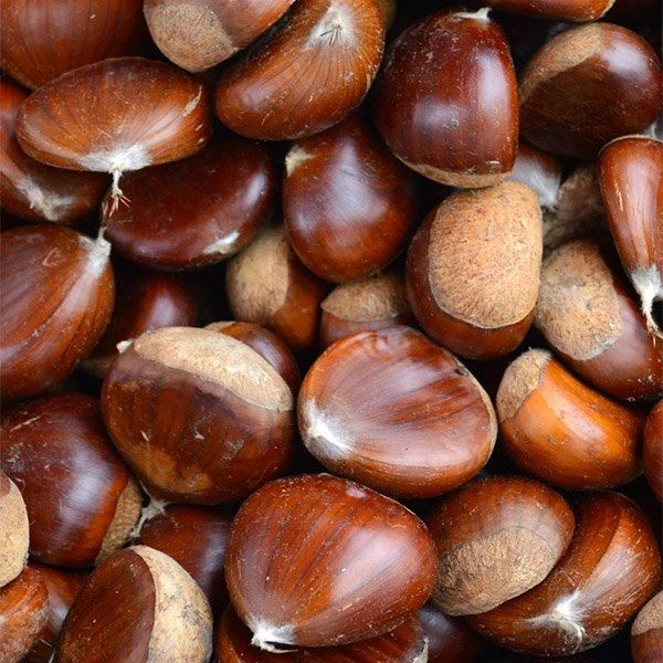 Fresh Chinese Chestnuts - 5lbs