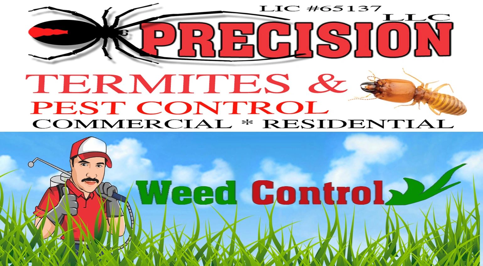 Professional Pest Control Services - Precision.LLc