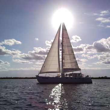 Fun Cat Sailing - Arabella