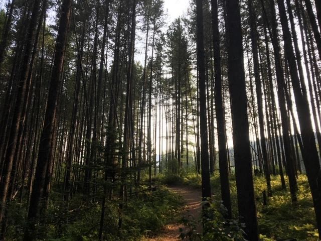 Sparwood Trails Alliance