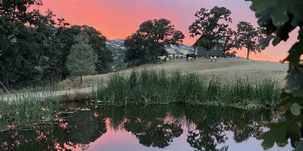 First Responder Wellness Program | Runestone Ranch