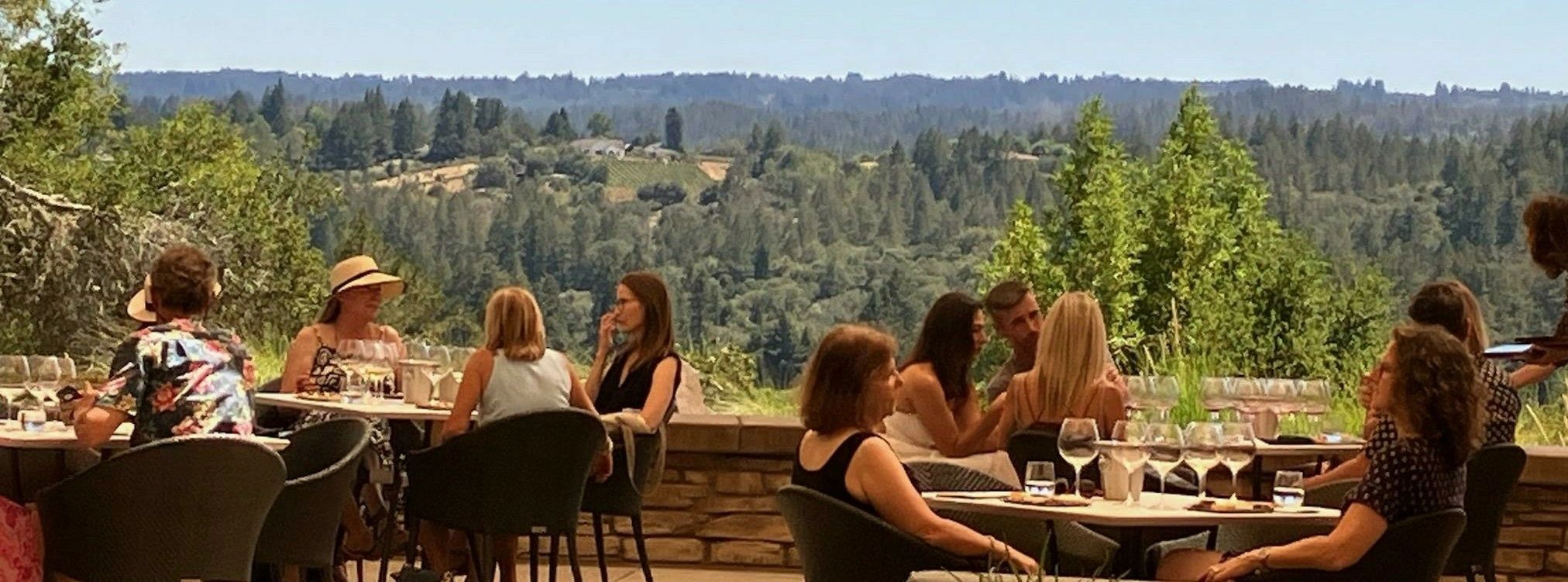 Private Wine Tours in Napa Valley and Sonoma