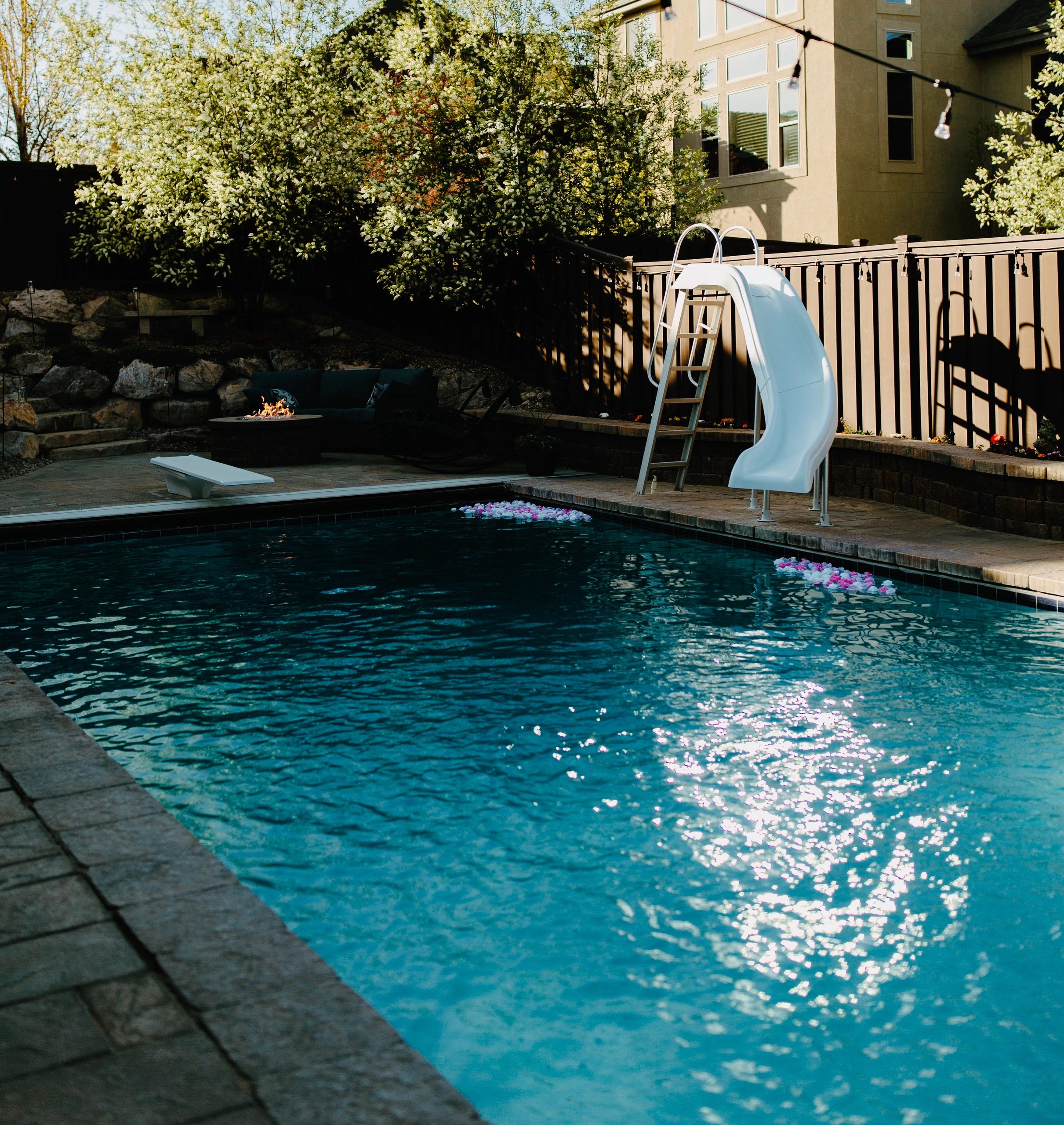 HOME [taylorswim.com]