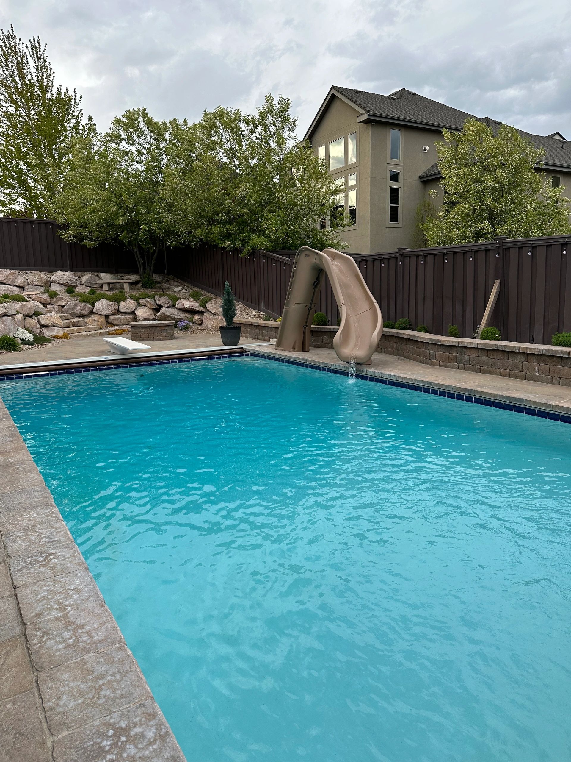 HOME [taylorswim.com]