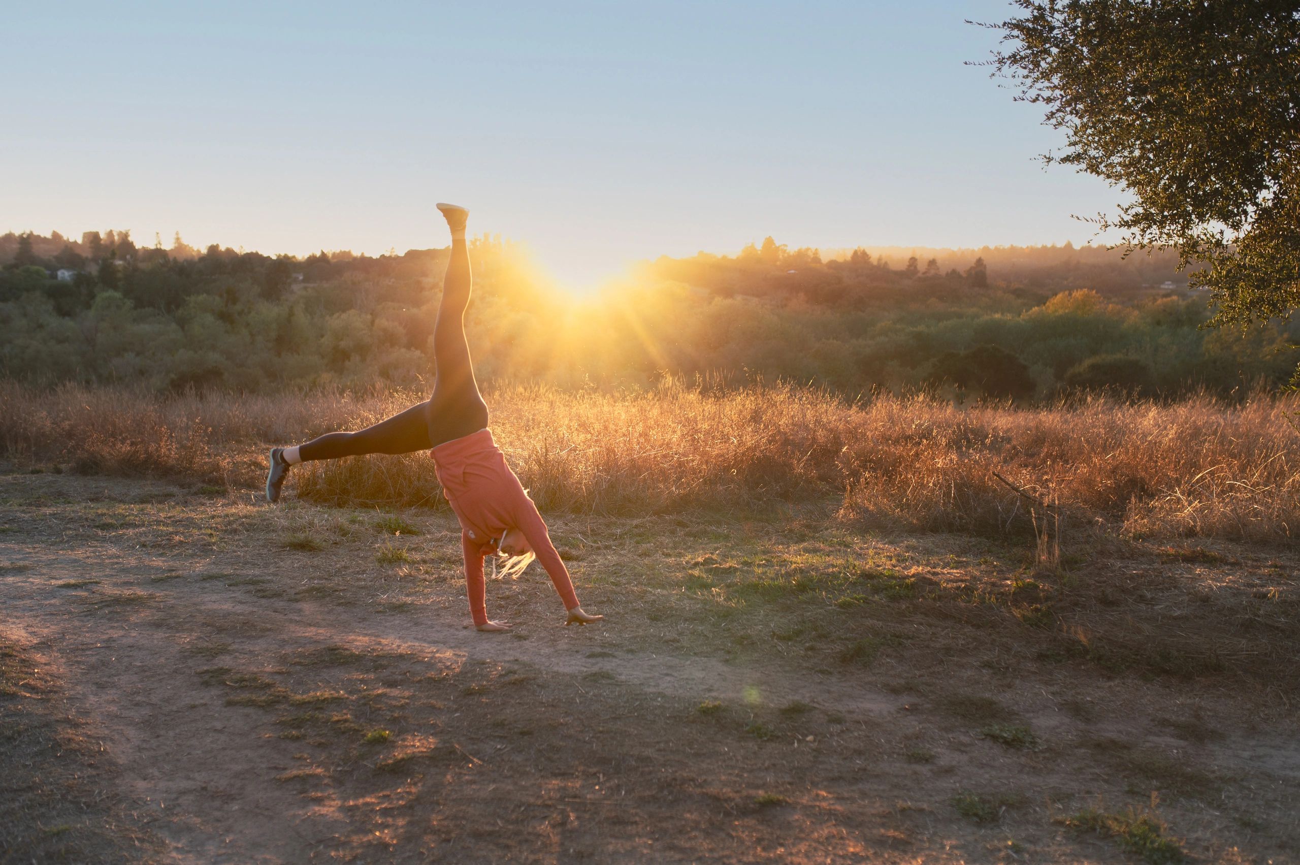 The 4 Realms of Health