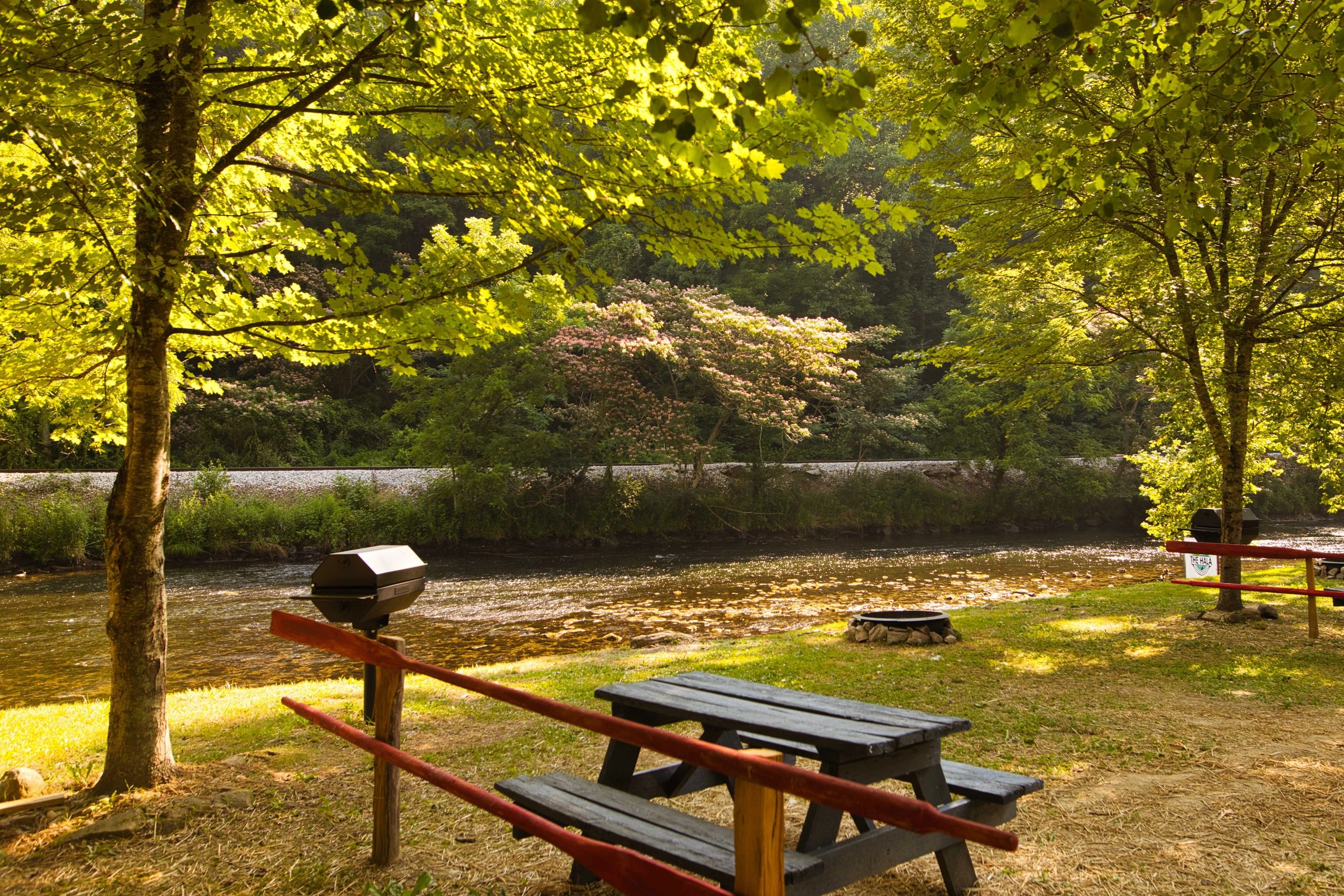 The only riverside campground destination along the Nantahala River.