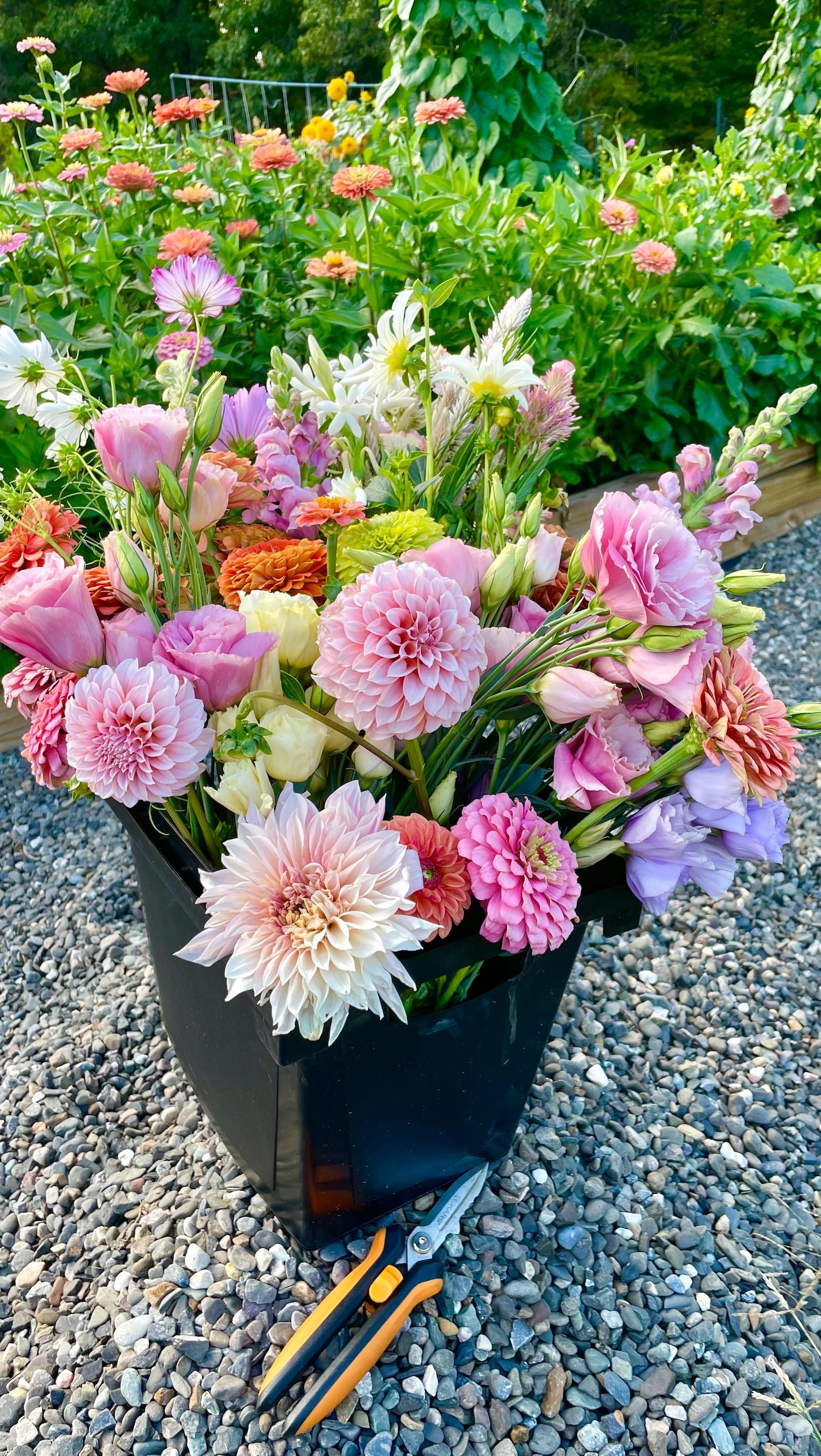 Fresh Flowers Arrangements - Order Beautiful Bouquets Online