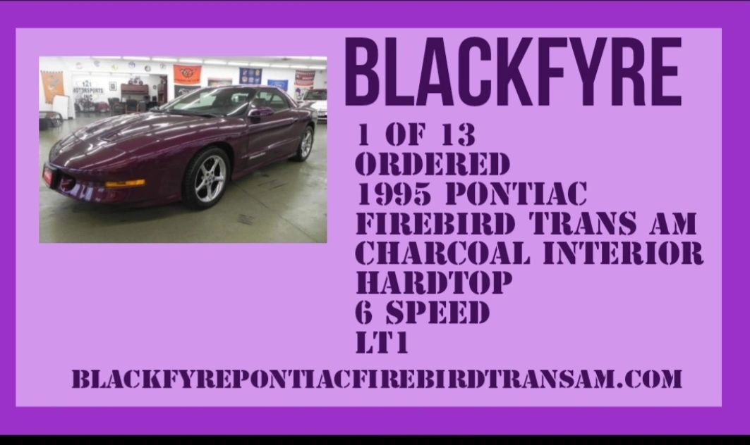 Blackfyre Pontiac Firebird Trans Am - Purple Firebird Trans Am, Best ...
