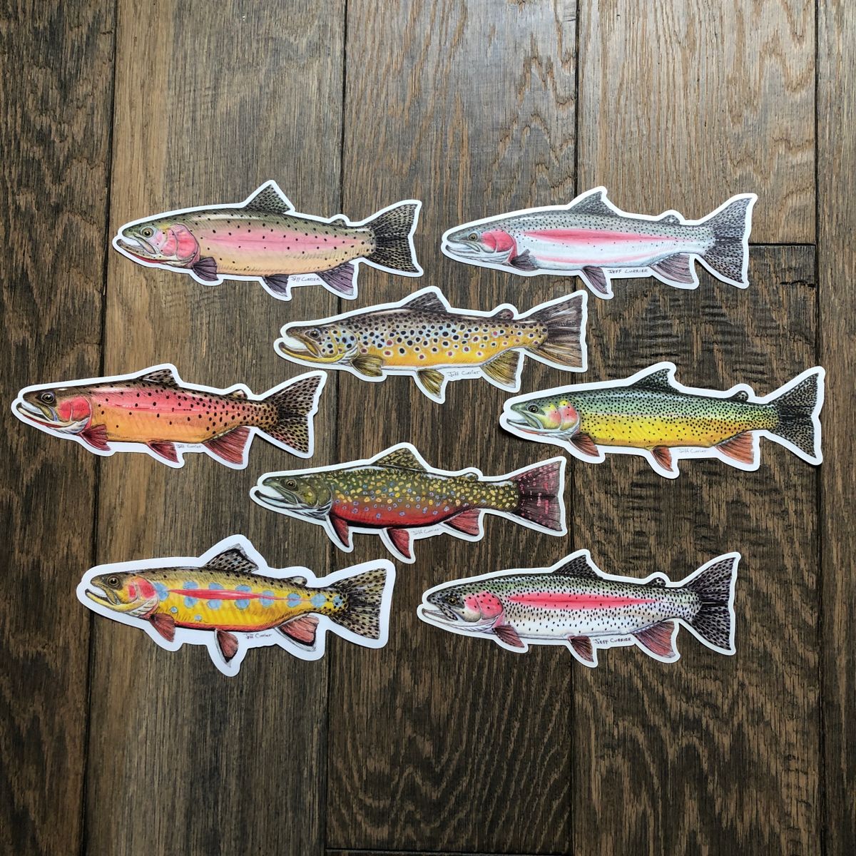 Jeff Currier Designed 10 Inch Trout Decals - 1 Dozen Decals