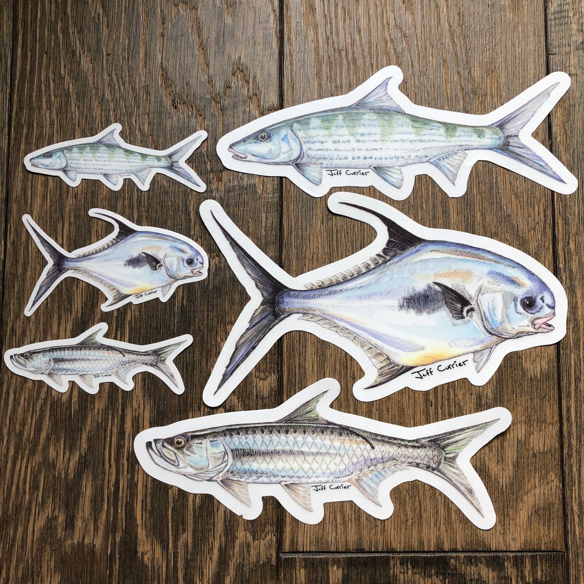 Jeff Currier Designed Saltwater Fish Decals - 1 Dozen Decals