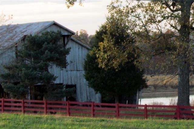 Circle B Stables