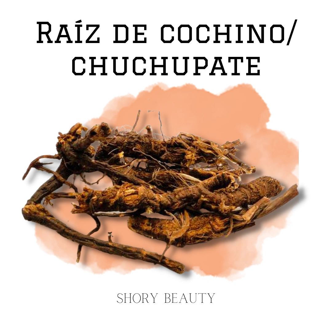 Raiz De Cochino O Chuchupate Producto Premium