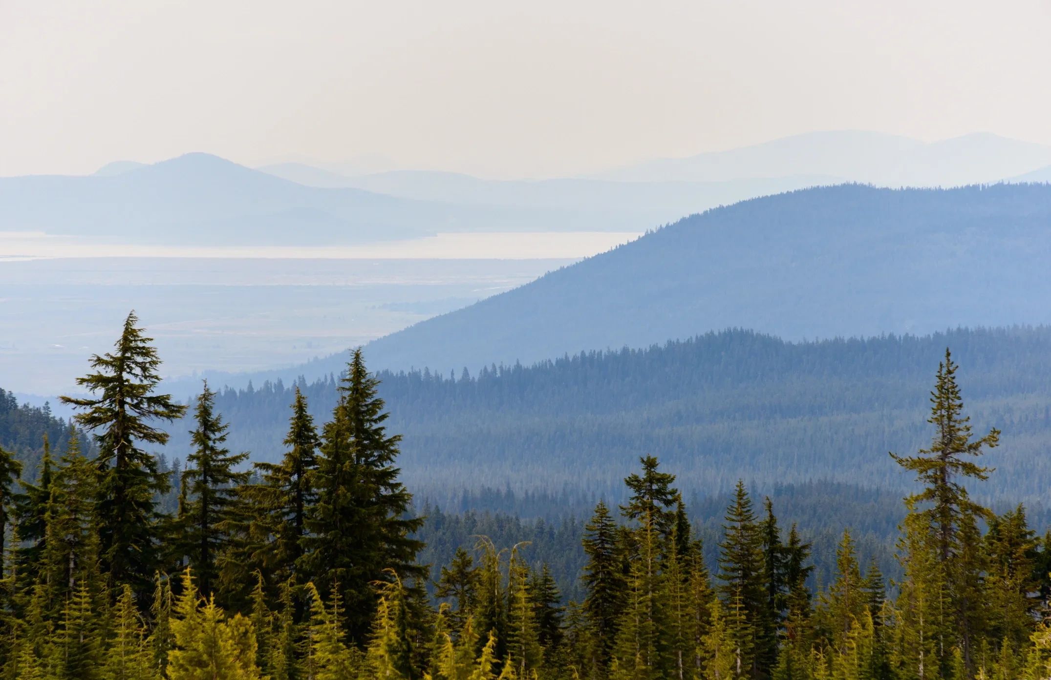 Terra Firma Management Group