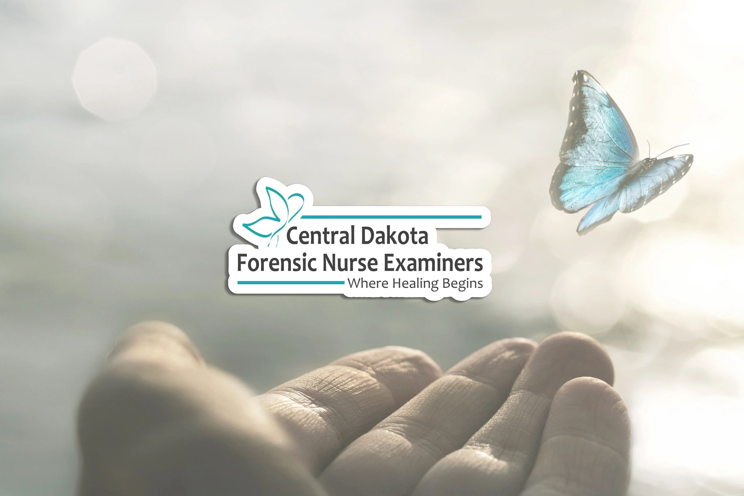 SANE Nurse | CDFNE Website