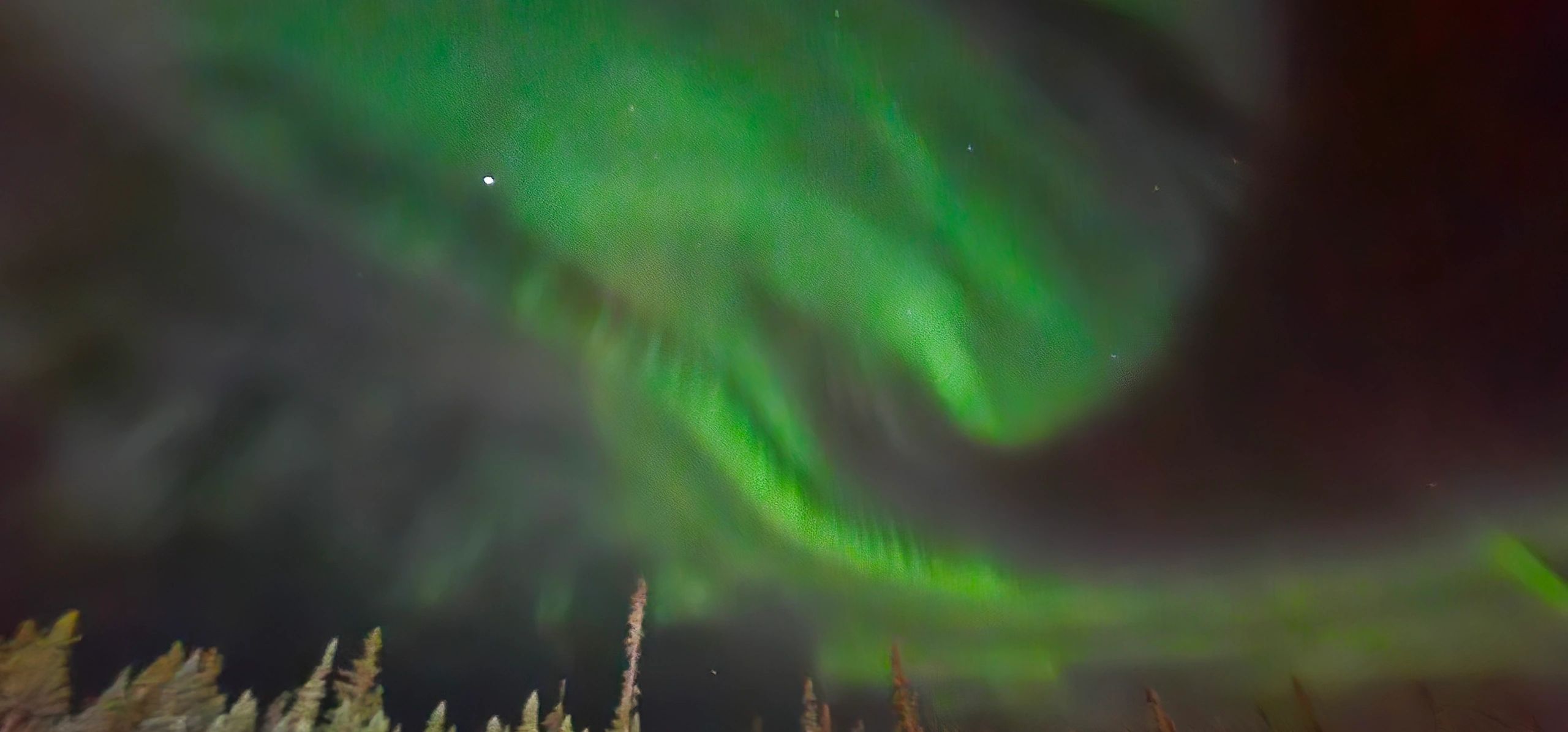 Find Reiki Near Me: Experience Healing with SunandMoonReiki