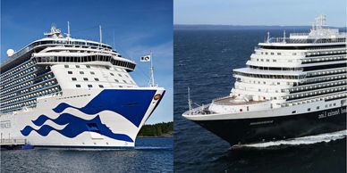 MCS Cruise Line | Fly Me Away Travel.com