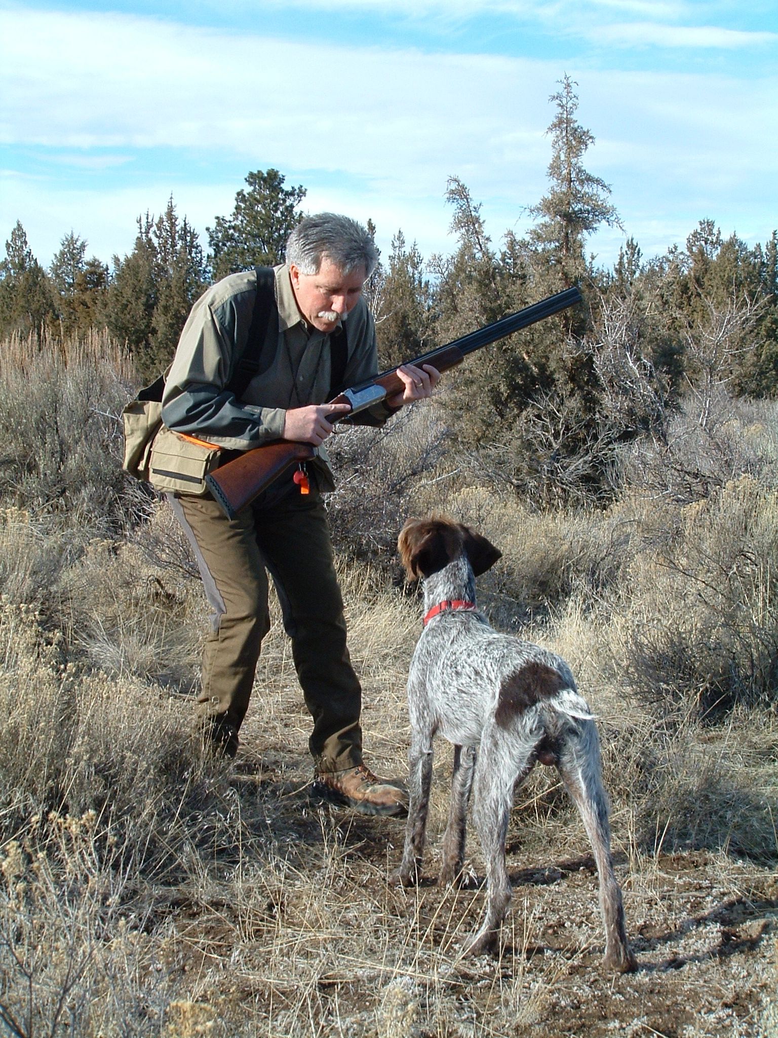 Three ways to sync with your bird dog when training