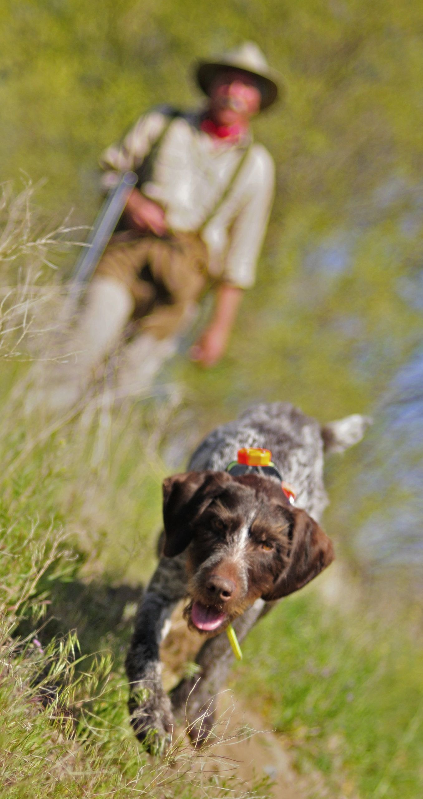 Whoa! It makes finding bird hunting spots easy by comparison