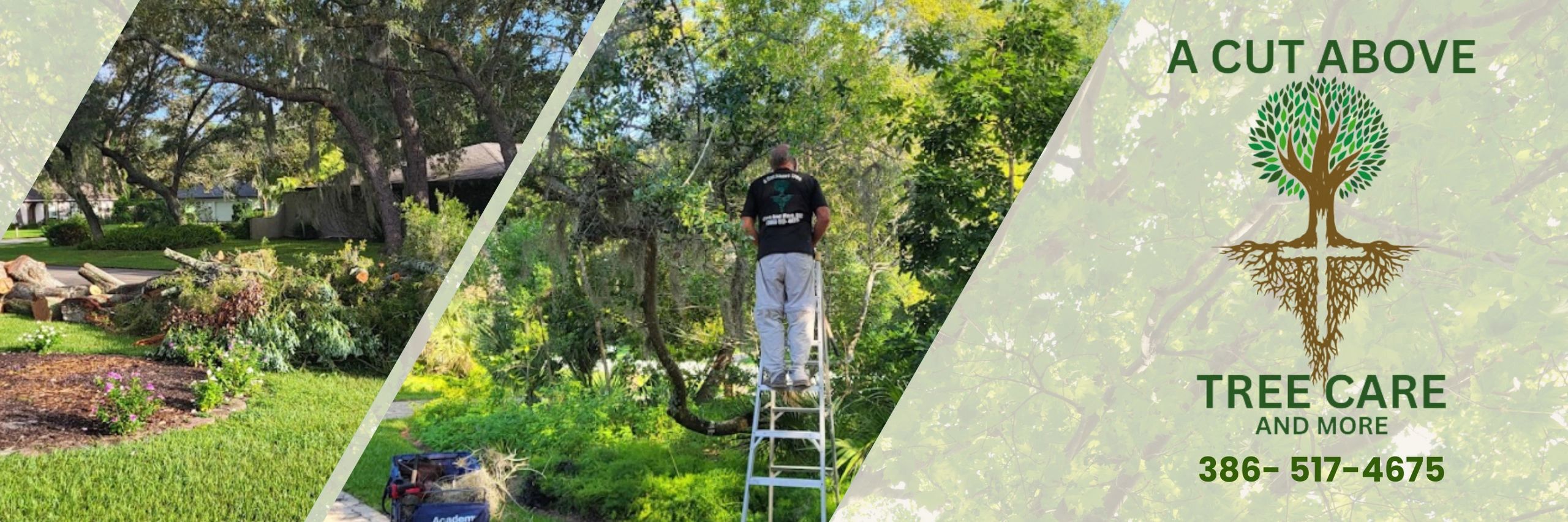 A Cut Above Tree Care and More