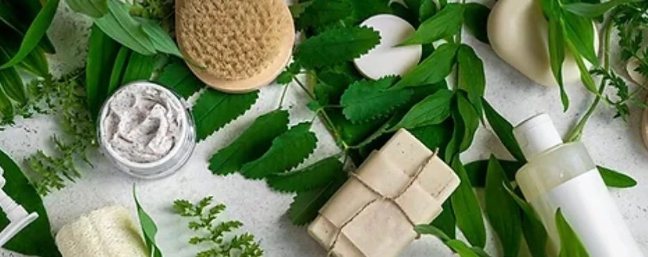 Discover the Best Plant Based products at Simply Natural Collection