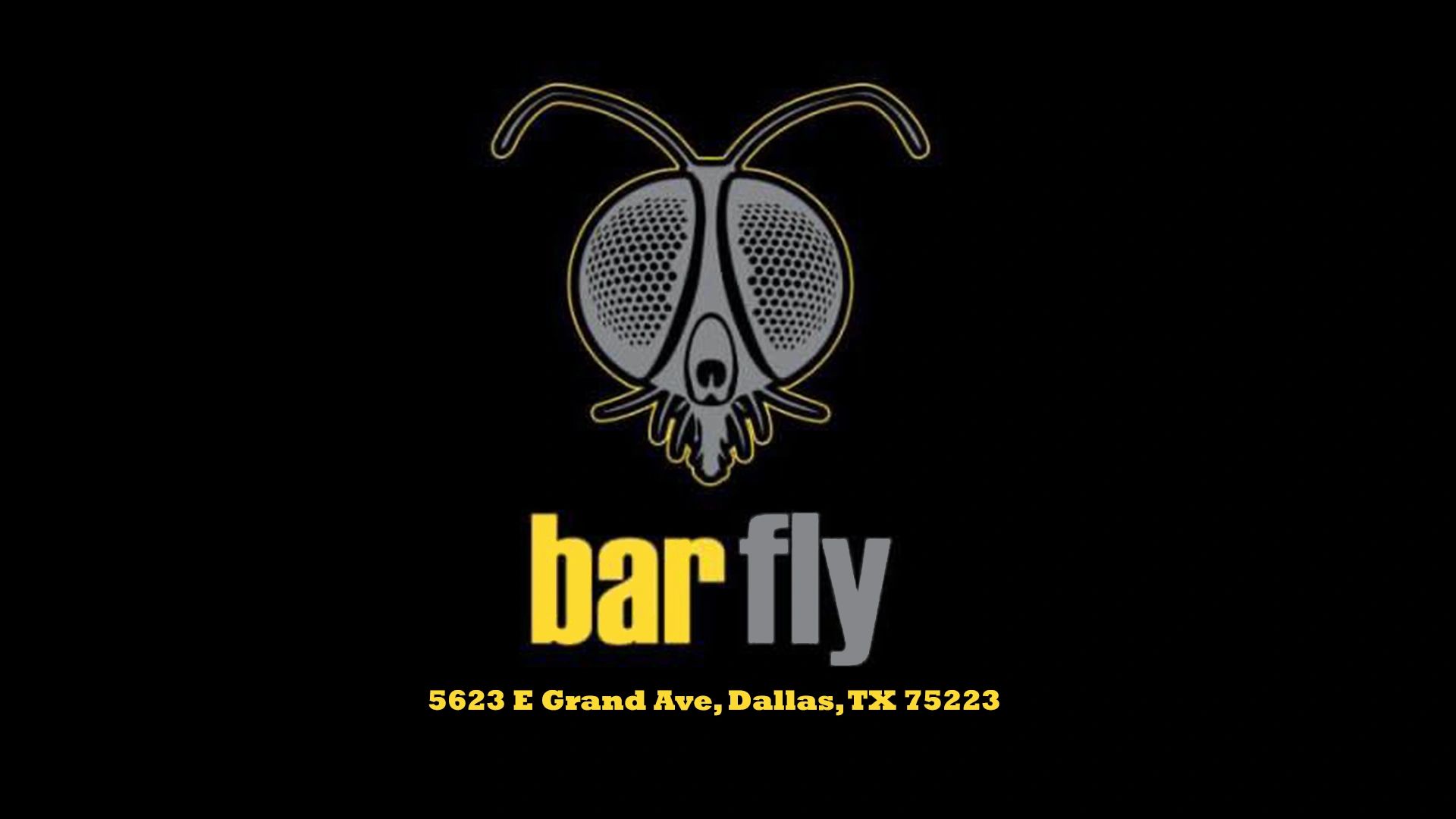 Bar Fly New Website