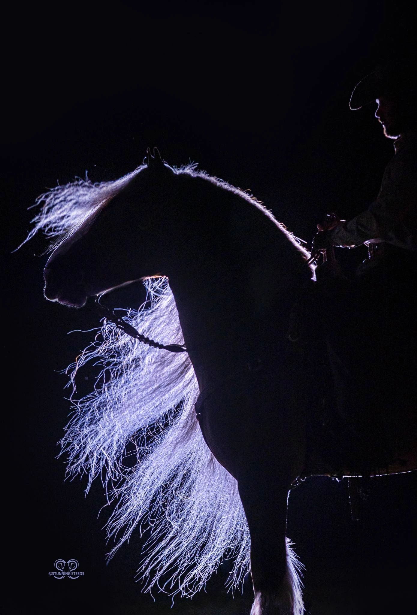 Hanes Performance Horses