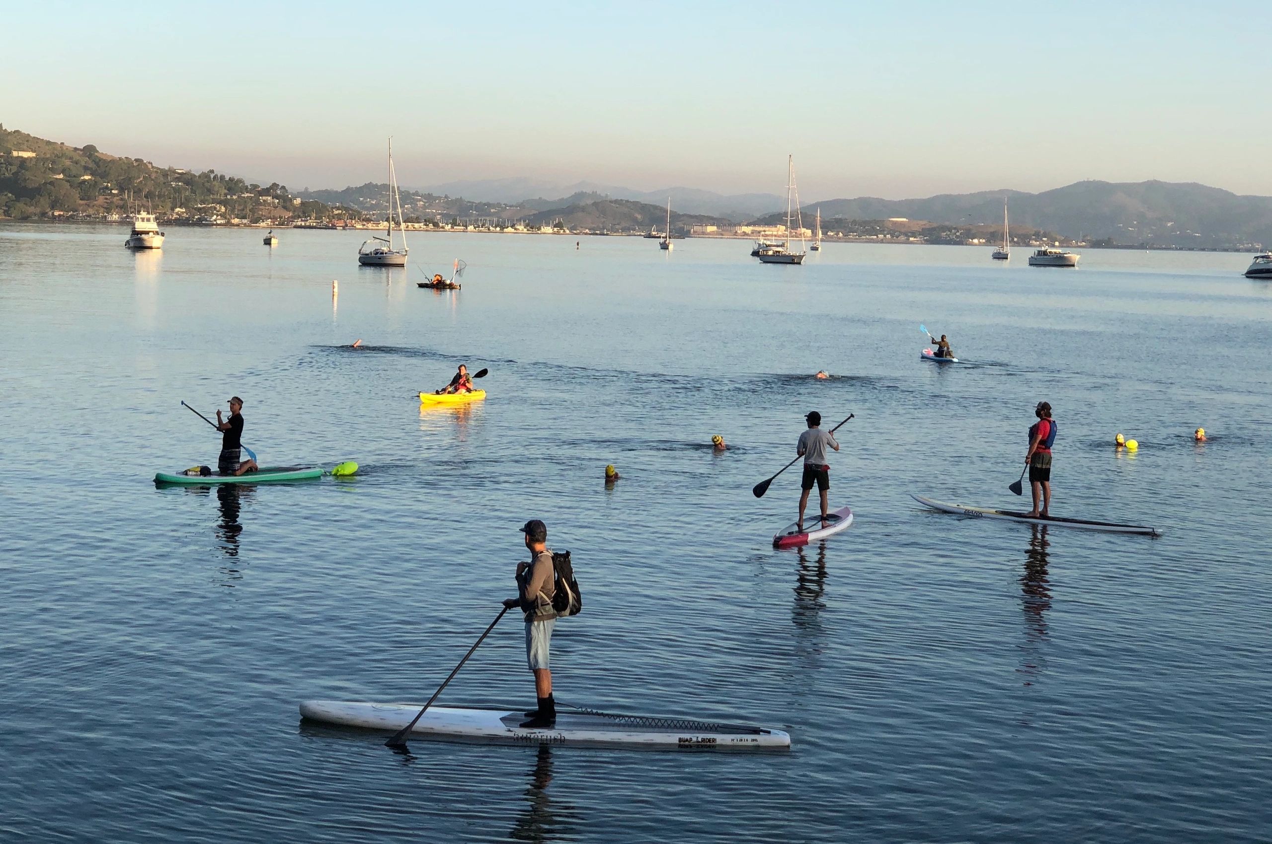 Marin Open Water Swim Adventures