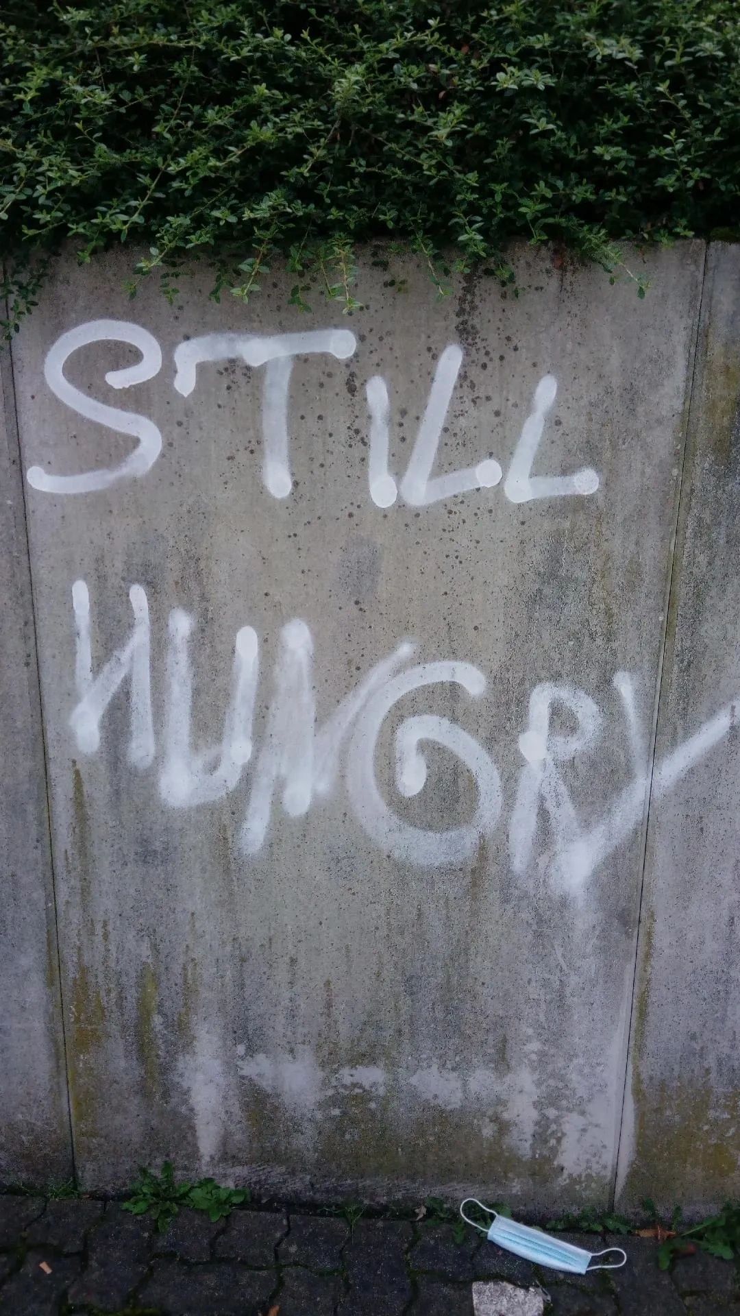 Anne Strasser- Text und Bild - Illustration, Kunst