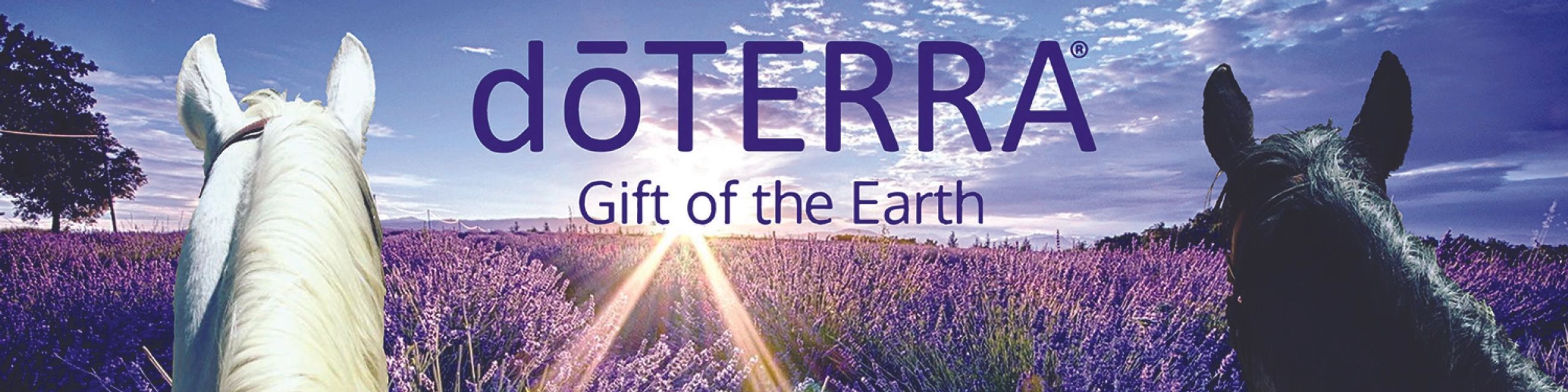 Energy Alchemy | Energy Alchemy