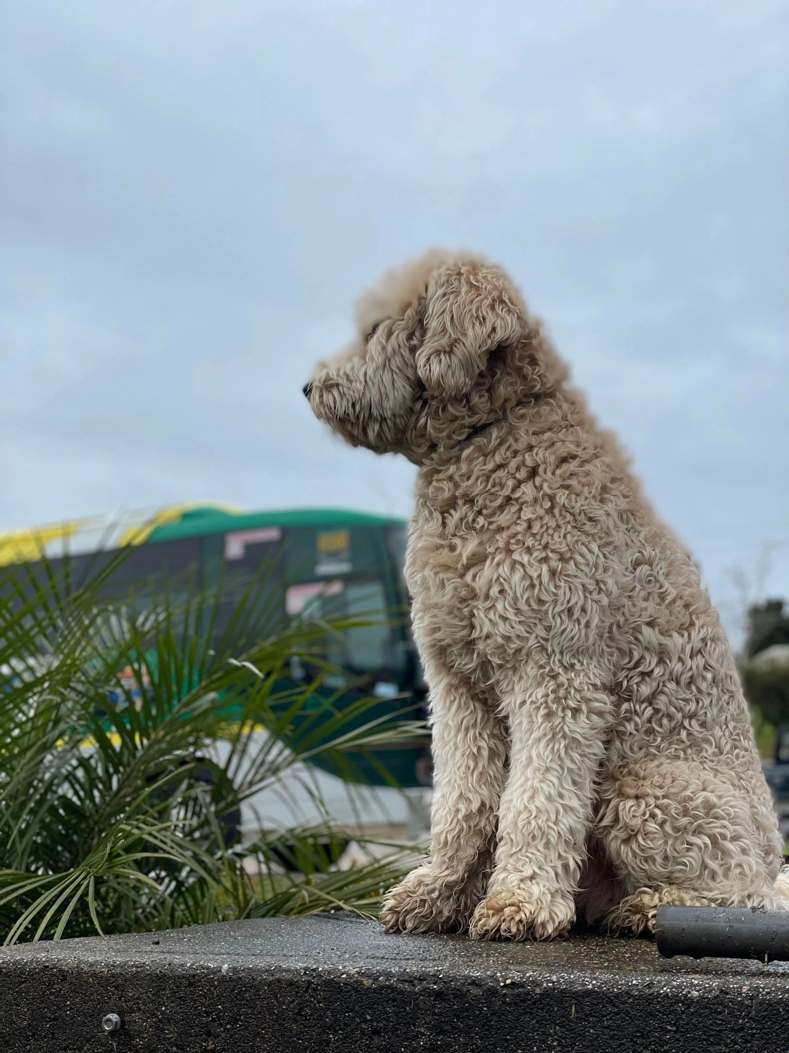 Gallery | Bega Valley Coaches