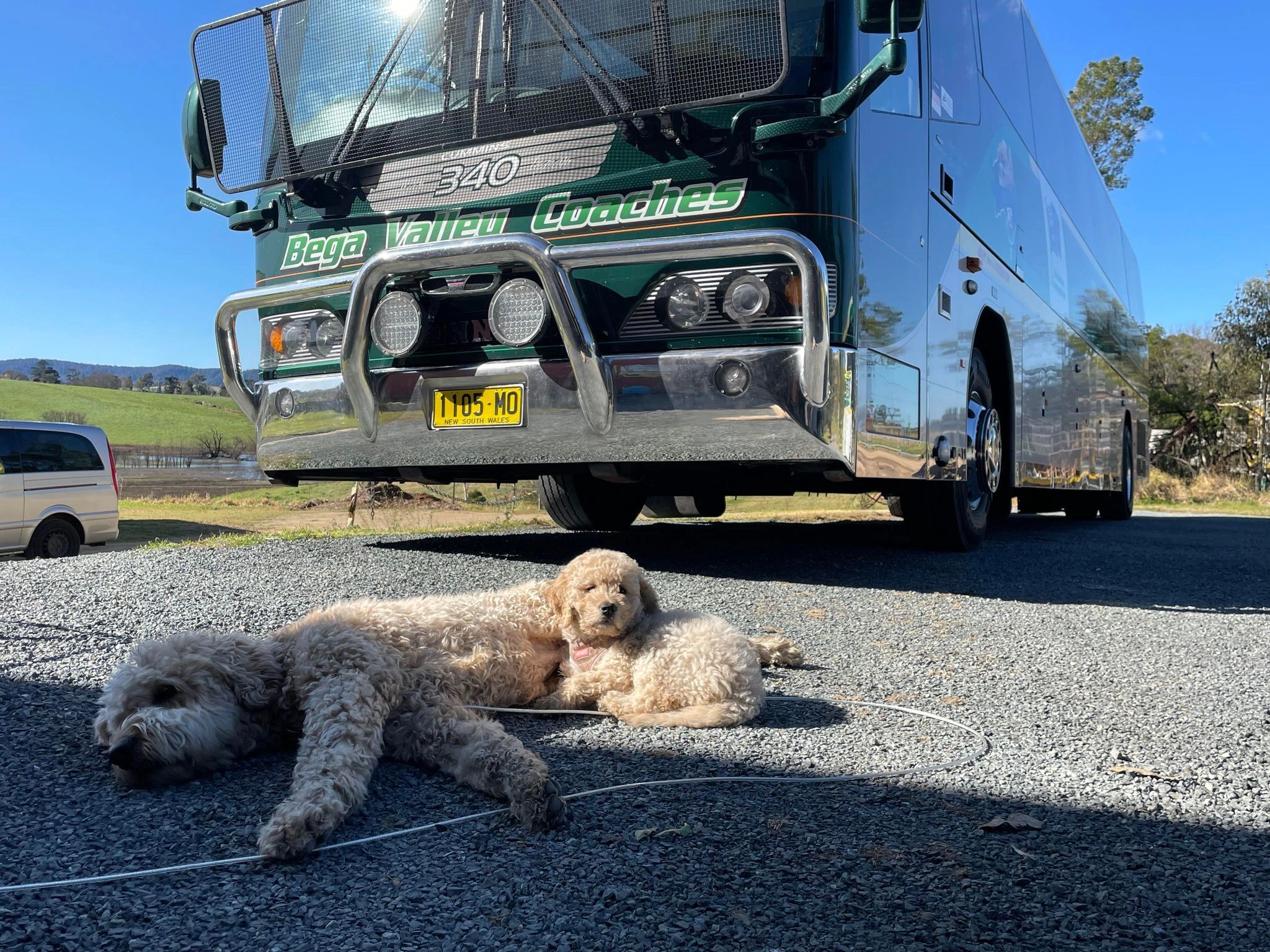 Gallery | Bega Valley Coaches