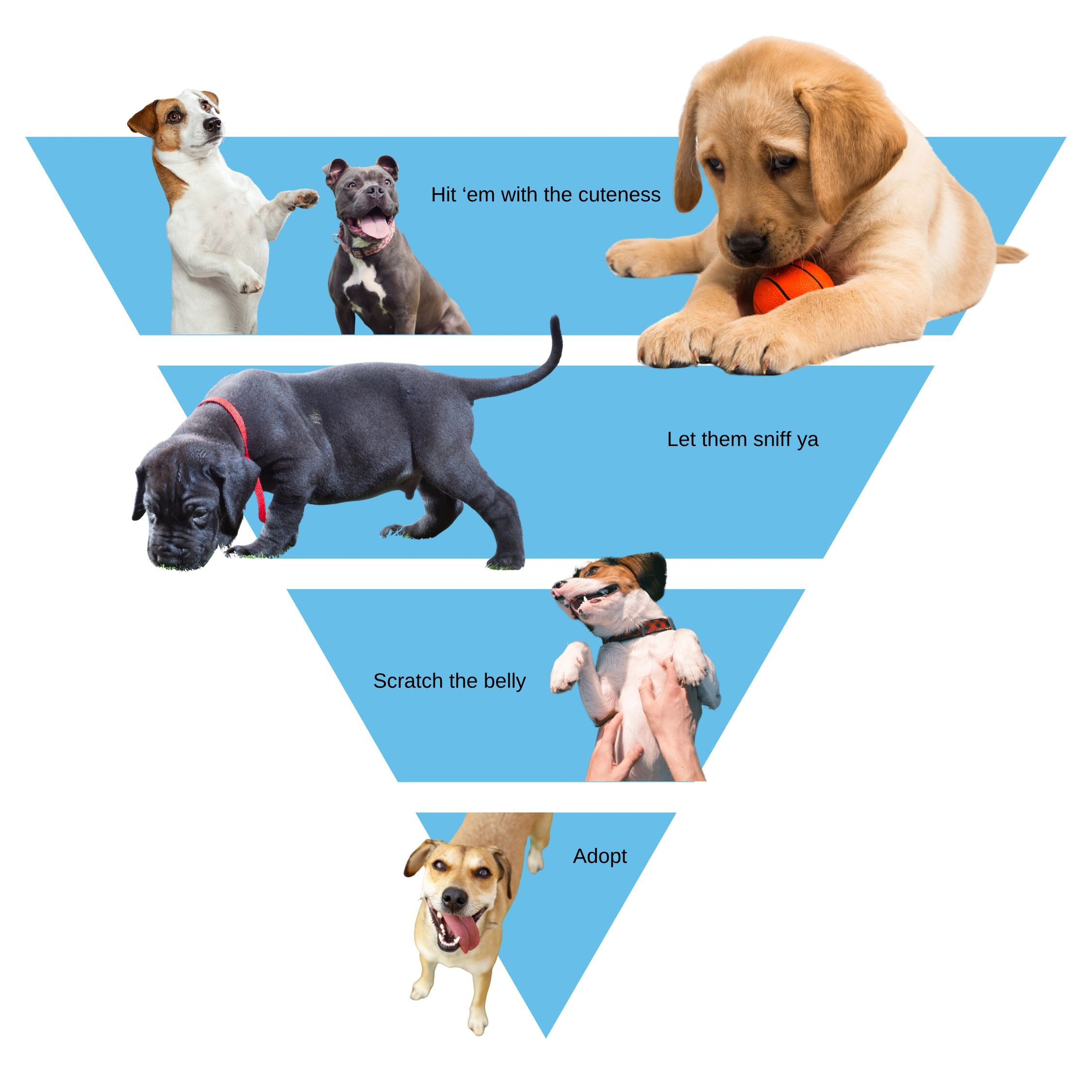 Hello, puppy-based marketing funnel.