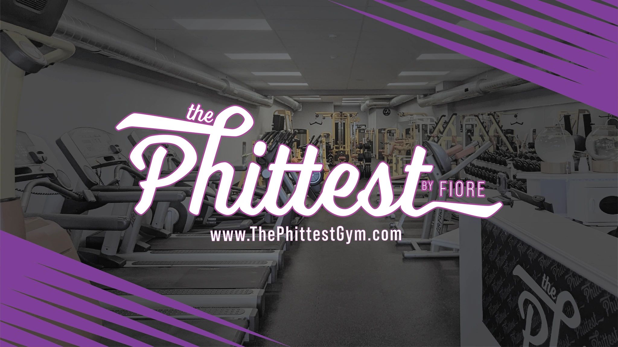The Phittest the-phittest