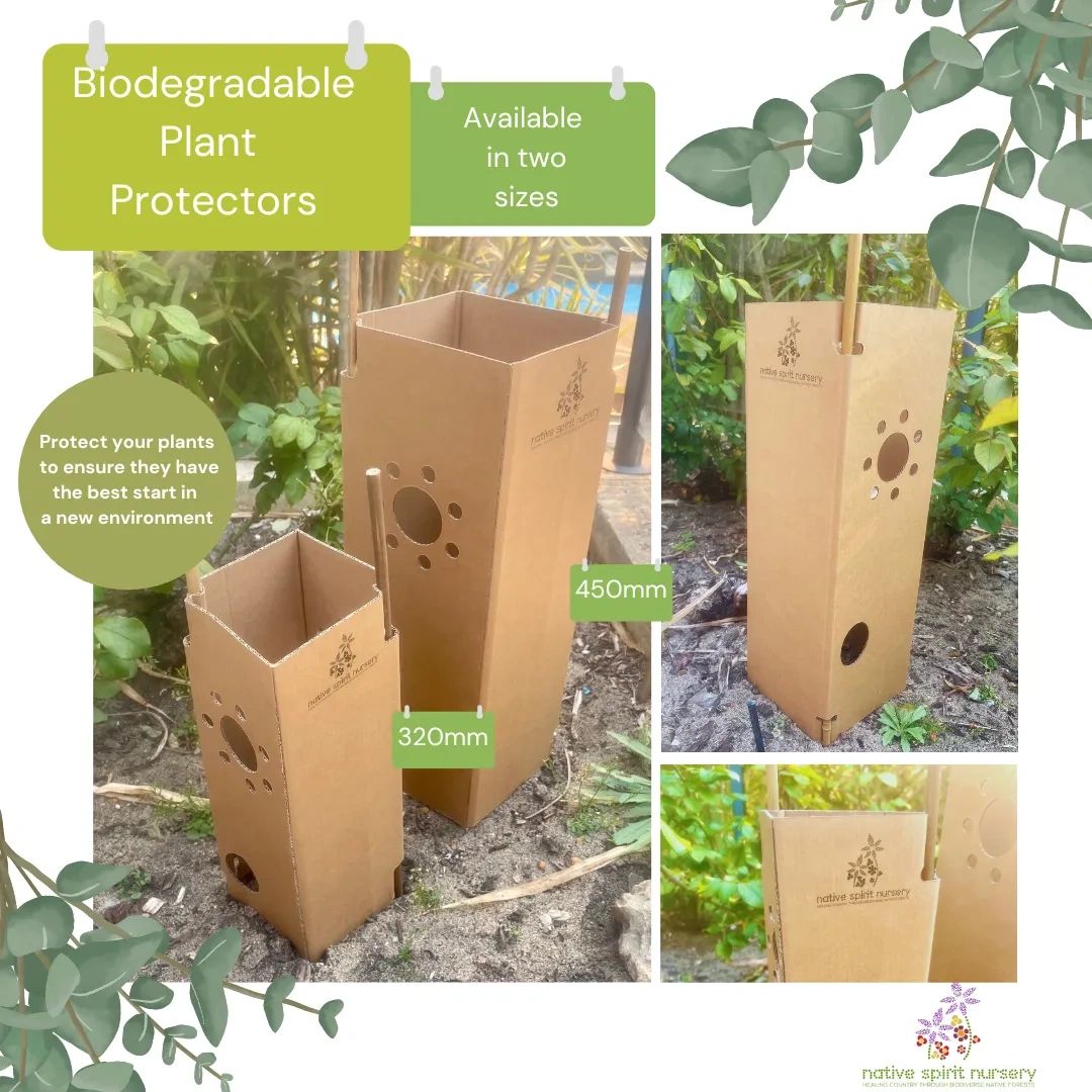 Biodegradable Plant Protectors