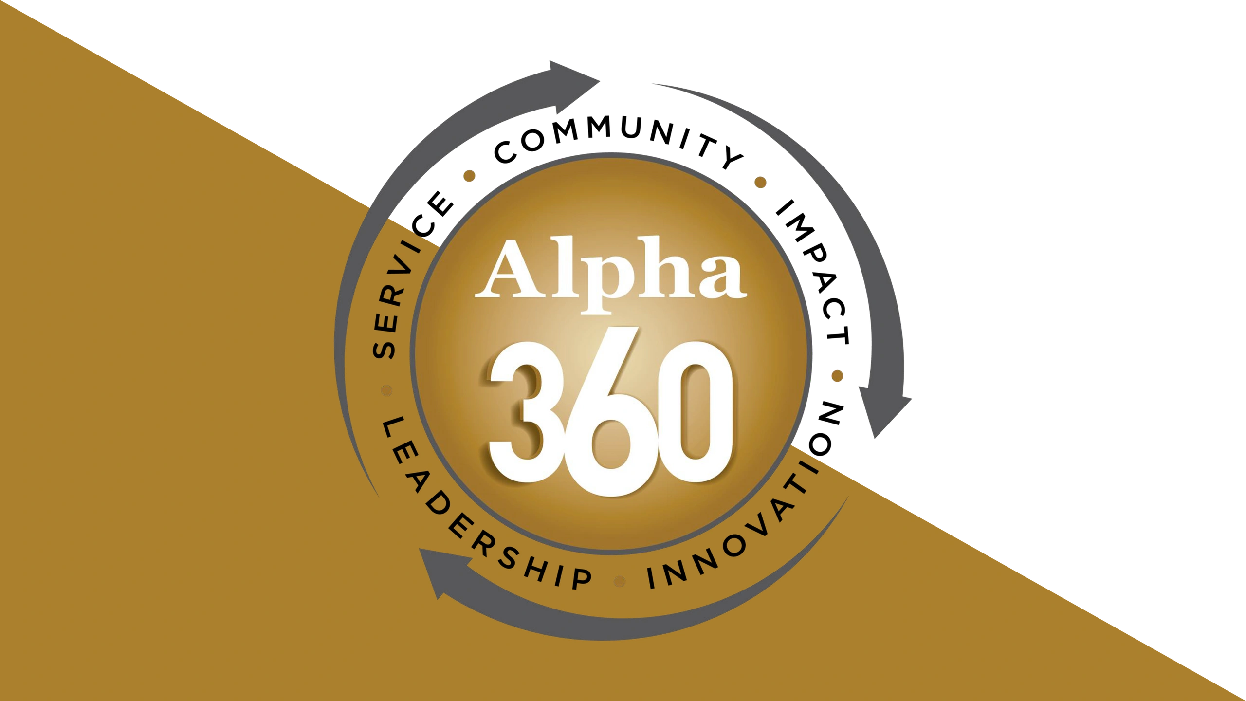 About | Alpha 360 Foundation