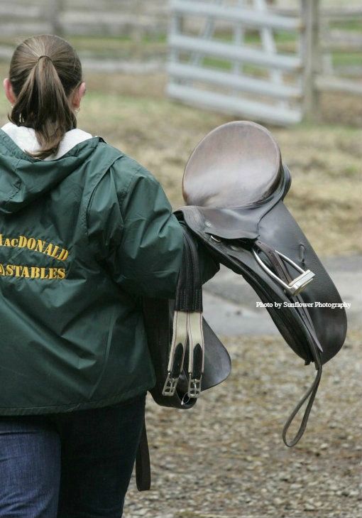 Jack MacDonald Stables - Horseback Riding, Arabian Horses
