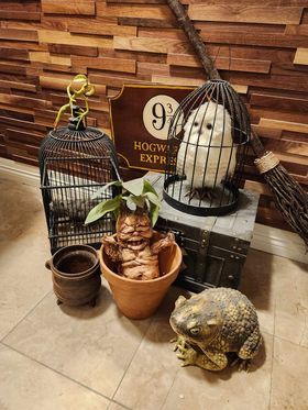 Herbology Class (Harry Potter themed)