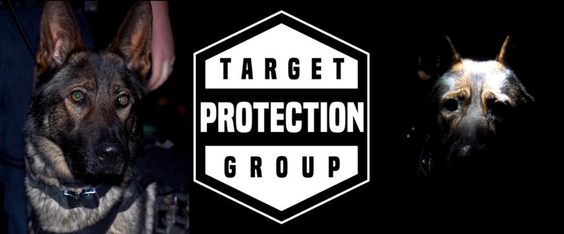 Target Protection Group