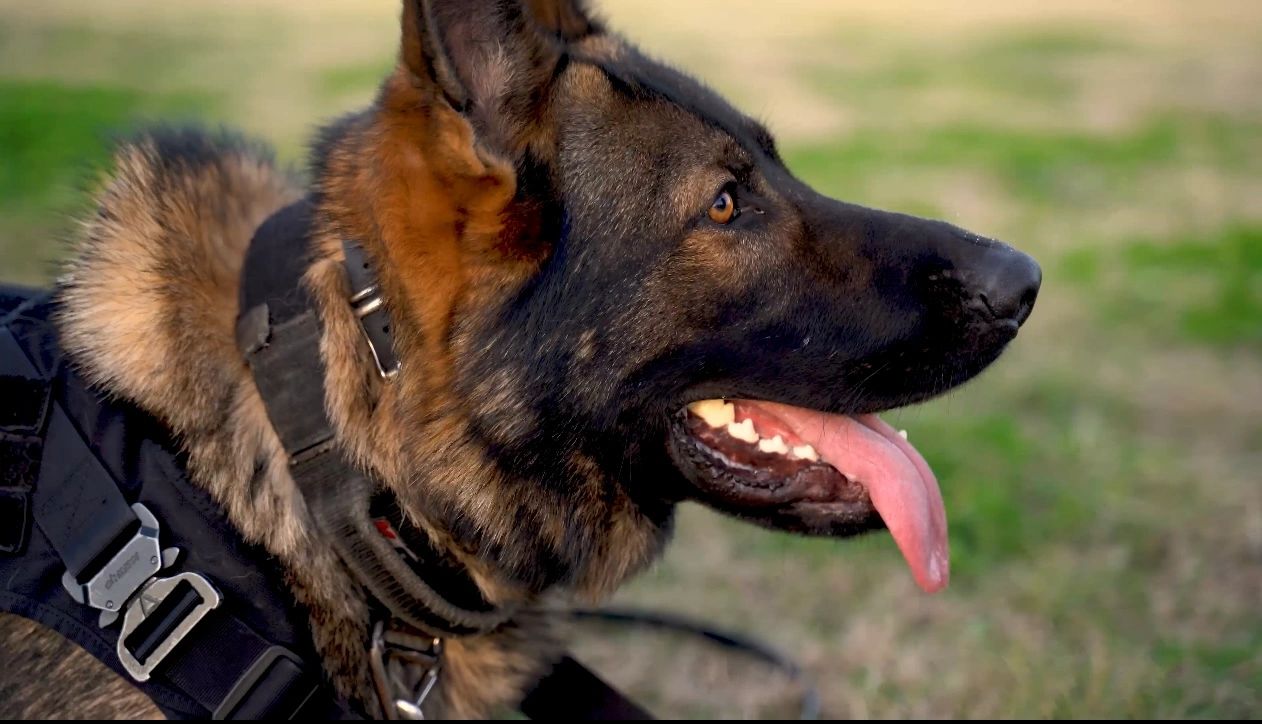 Target Protection Group