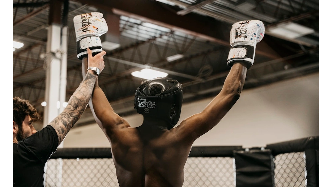 theknockoutnewsletter.com