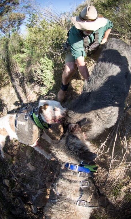 It all starts in your yard