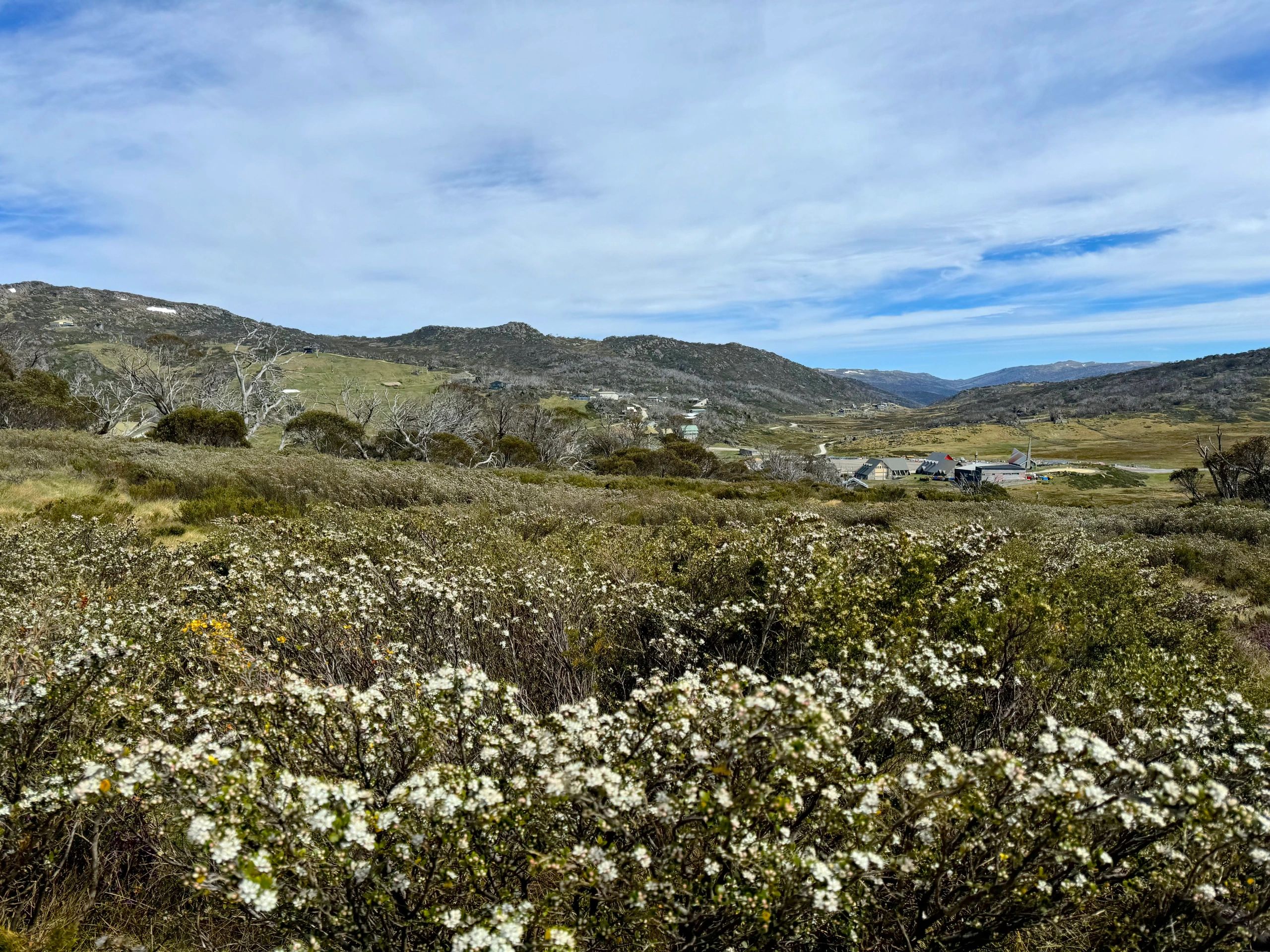 Perisher In Summer: What To Expect When The Ski Season Ends
