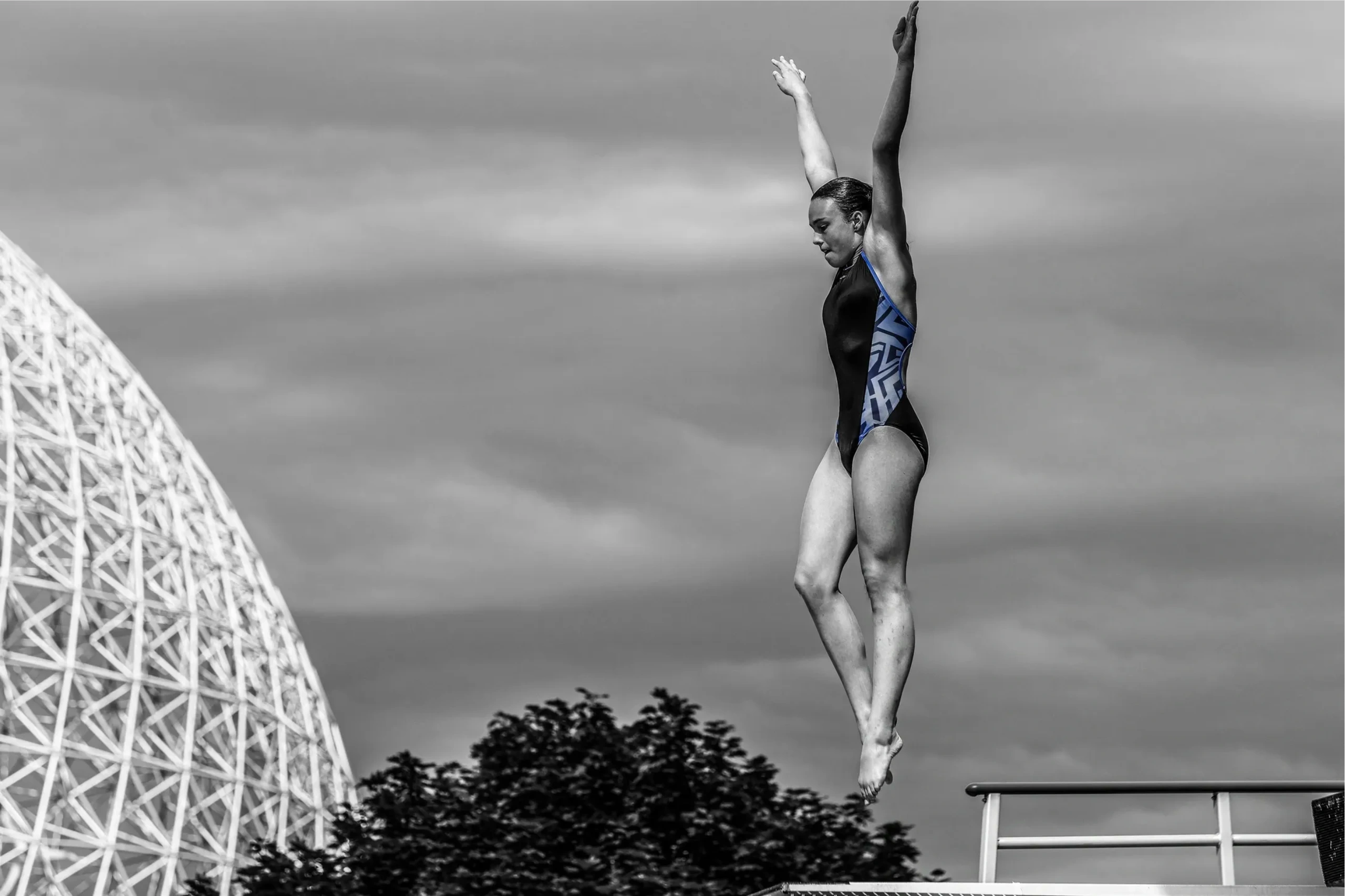 Comprendre le plongeon