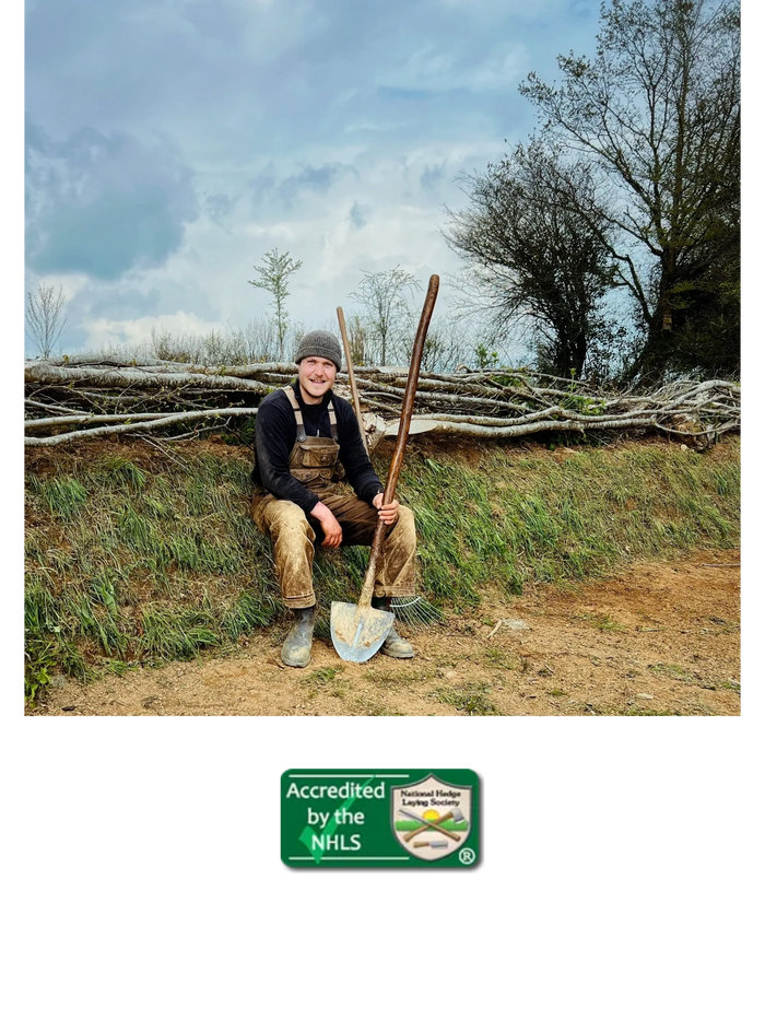 Professional Hedgelayer, Hedge Laying, Devon Hedgelayer,