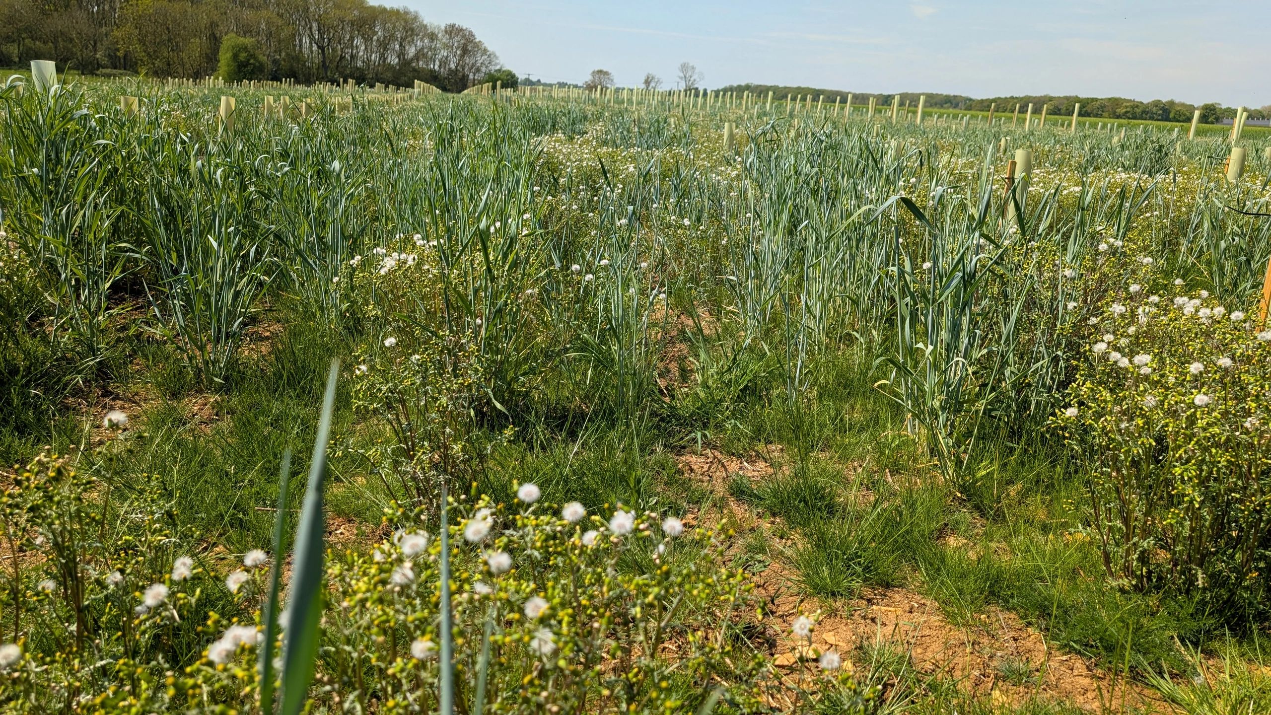 Log-Box - Bulk Firewood, Firewood Accessories, Firewood Direct