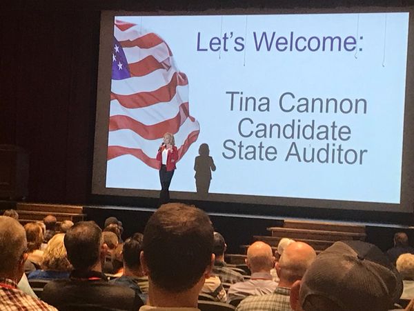 Tina Cannon for Utah State Auditor - Experience you can trust