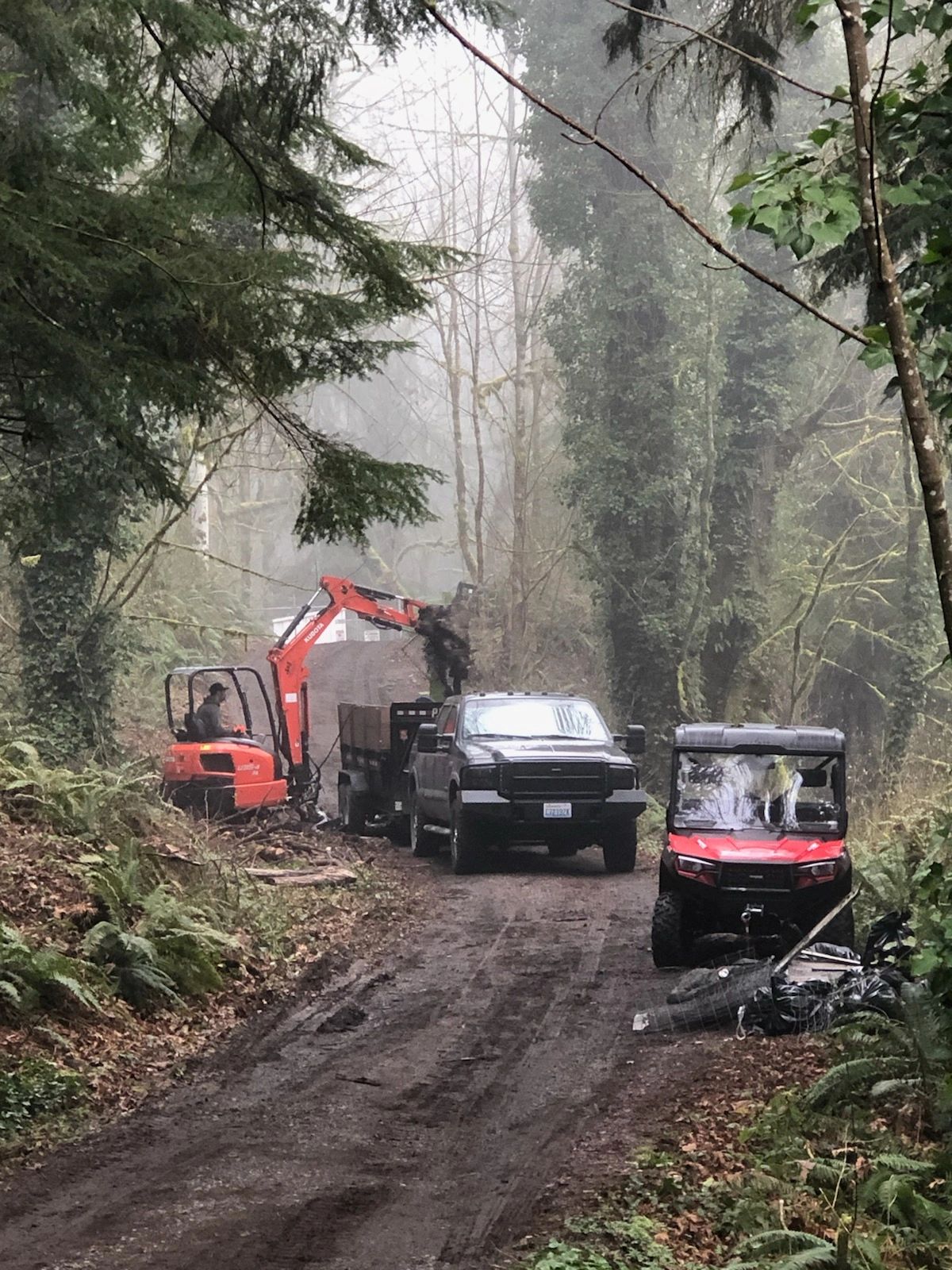 Layland Cleaning and Removal