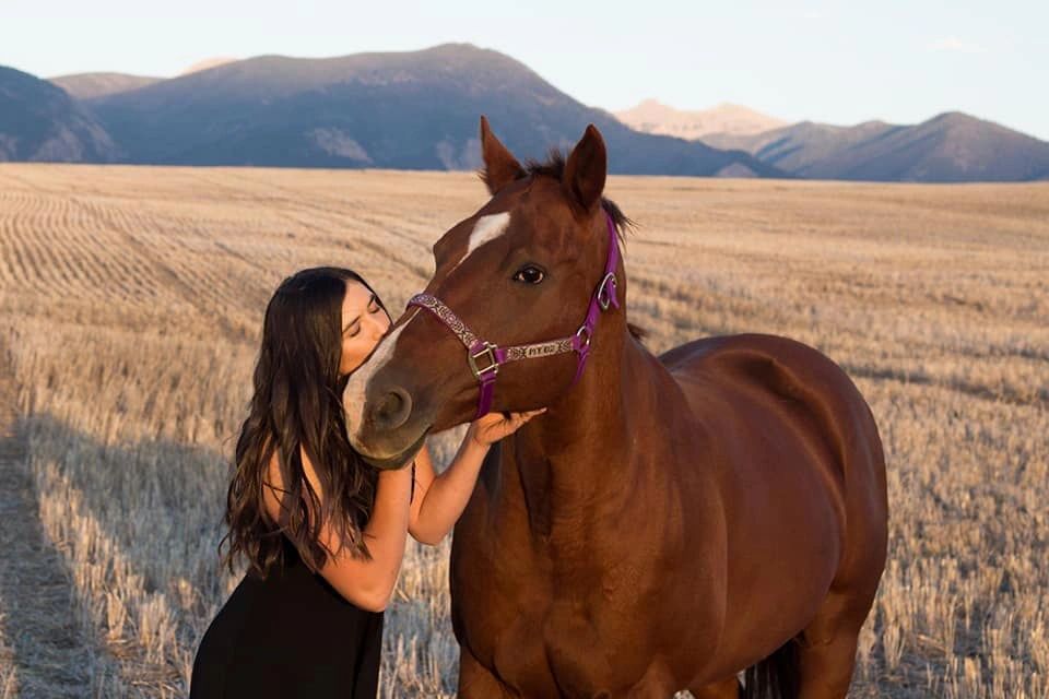 Giddy Up Horse Insurance - Horse Insurance, Ranch Insurance